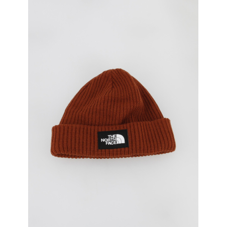 Bonnet salty dog lined marron - The North Face | wimod